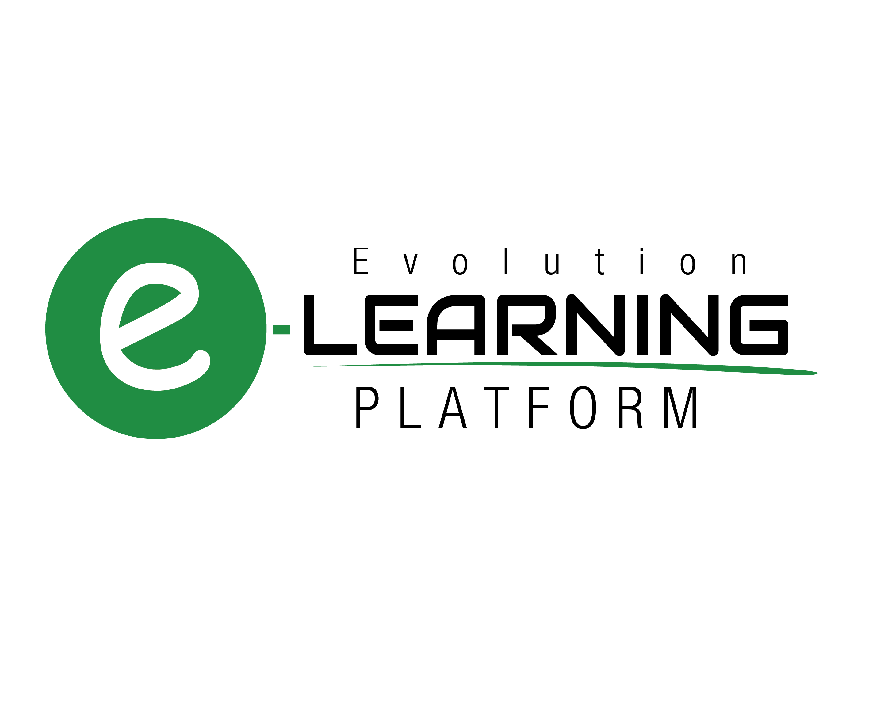 Evolution Media Group - Websites, Graphics, Software